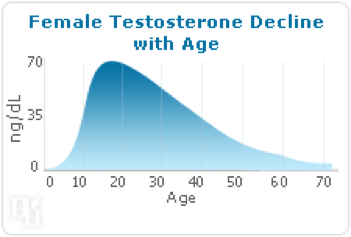 Effects of Female Testosterone Levels